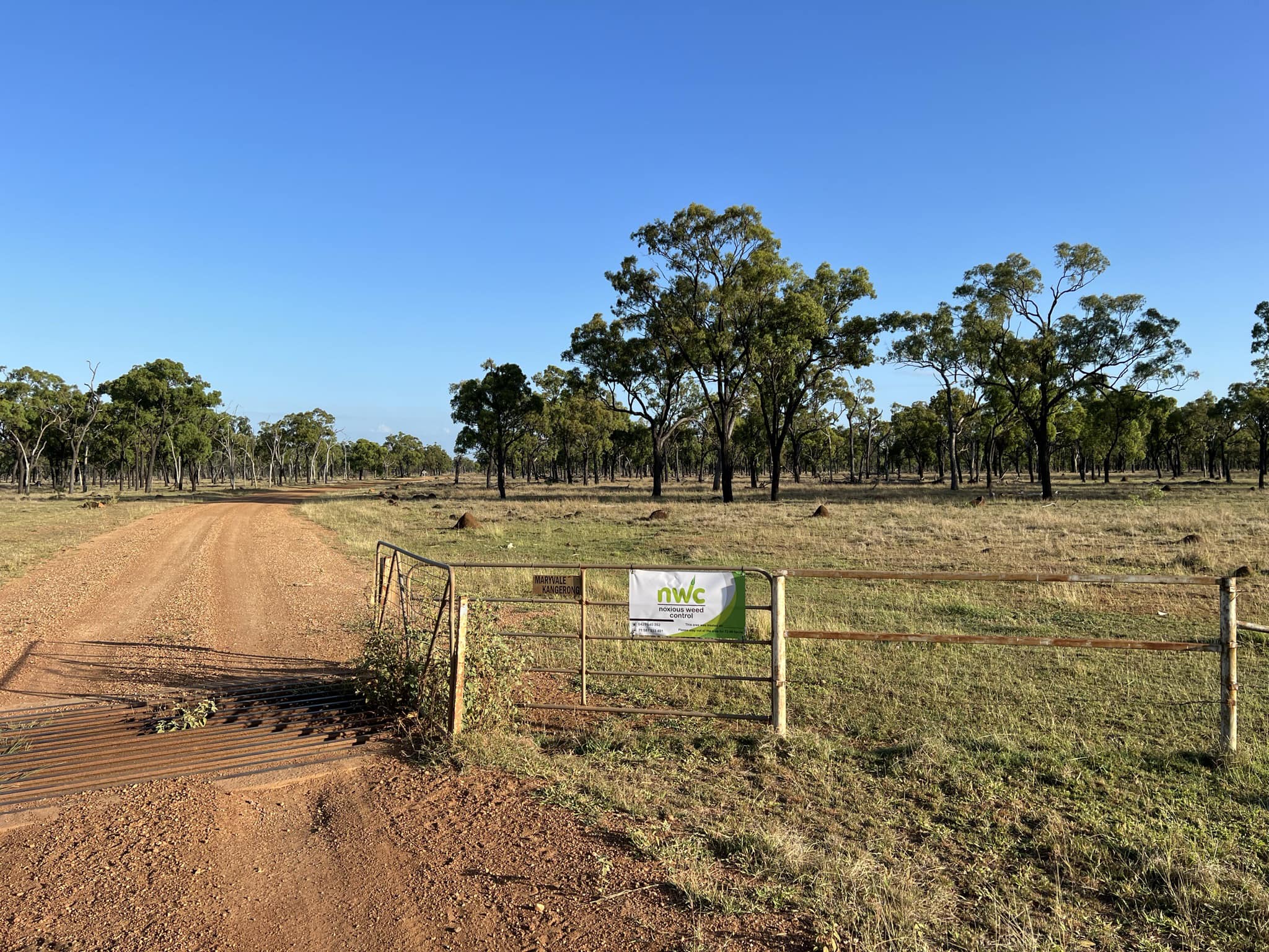 Services - Noxious Weed Control